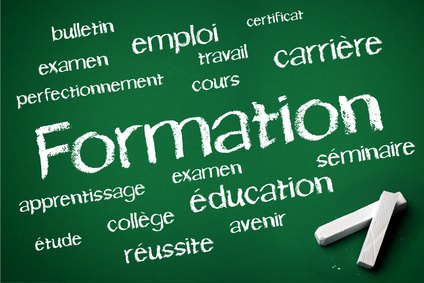 Règlement ANC : inscription des frais de formation en immobilisation ...